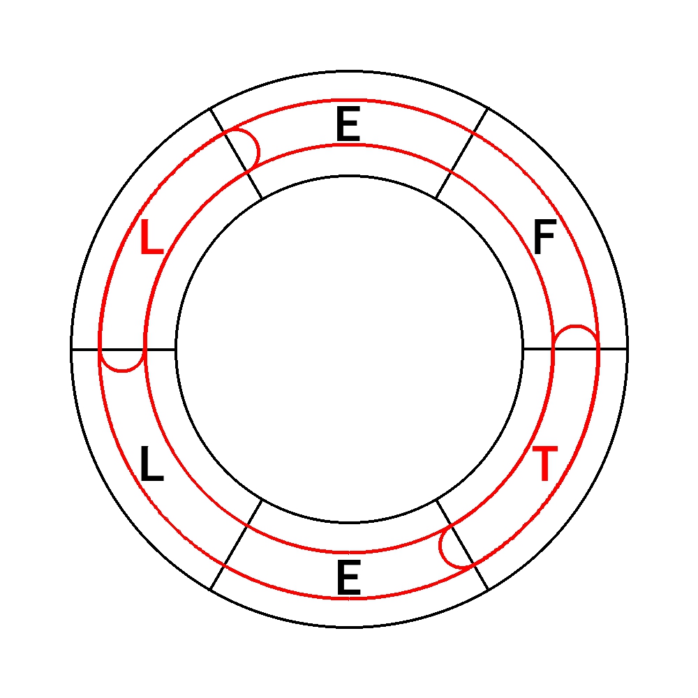Spelloops Puzzle 28 – Nucleus Learning