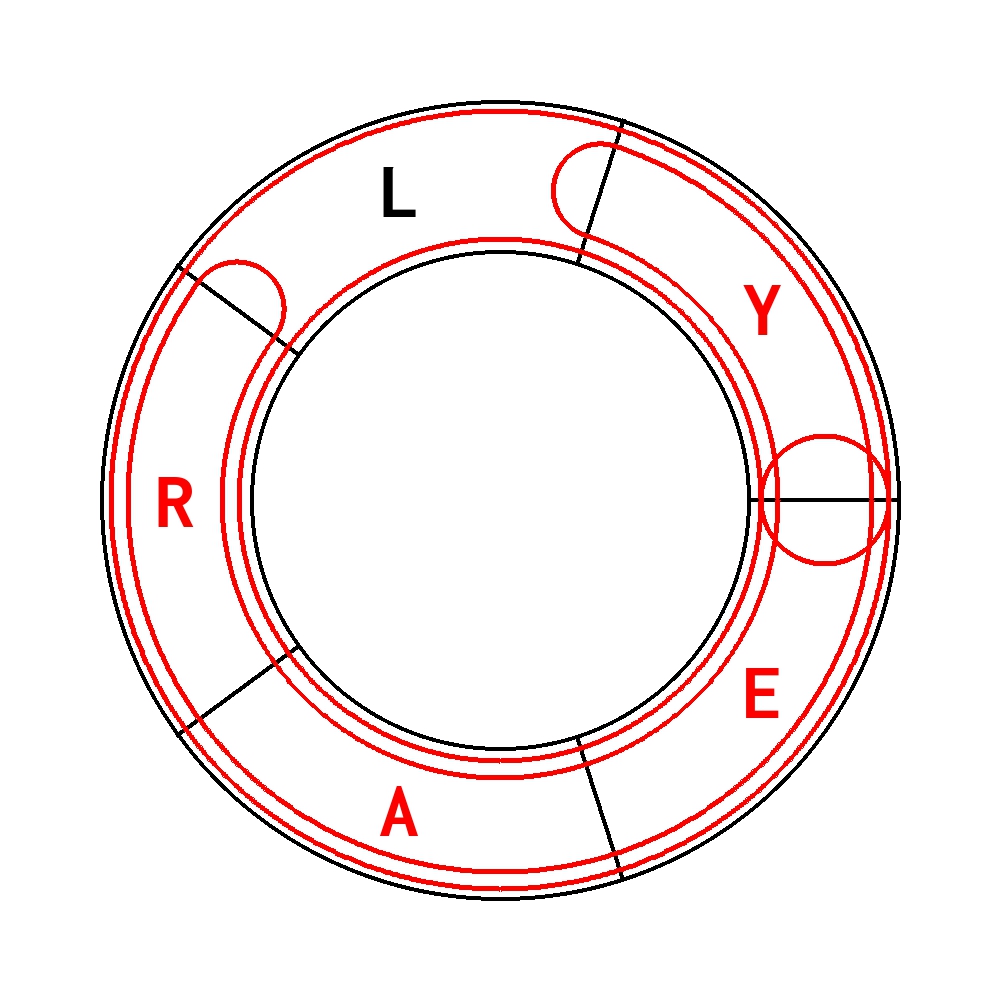 Spelloops Puzzle 67 – Nucleus Learning